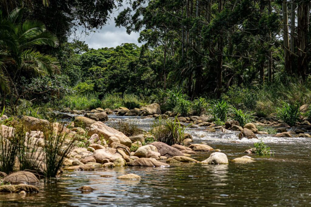 River Valley Nature Reserve | South Africa Tourism Directory